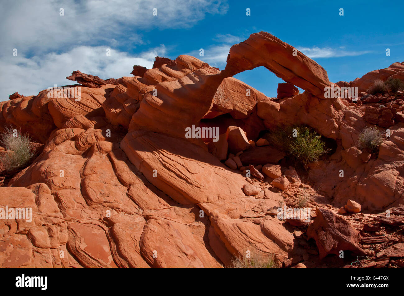 Bowl of Fire, Lake Mead National Recreation Area, Nevada, USA, North ...