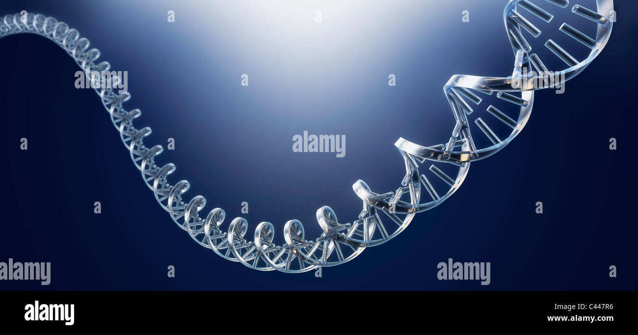 Dna strand hi-res stock photography and images - Alamy