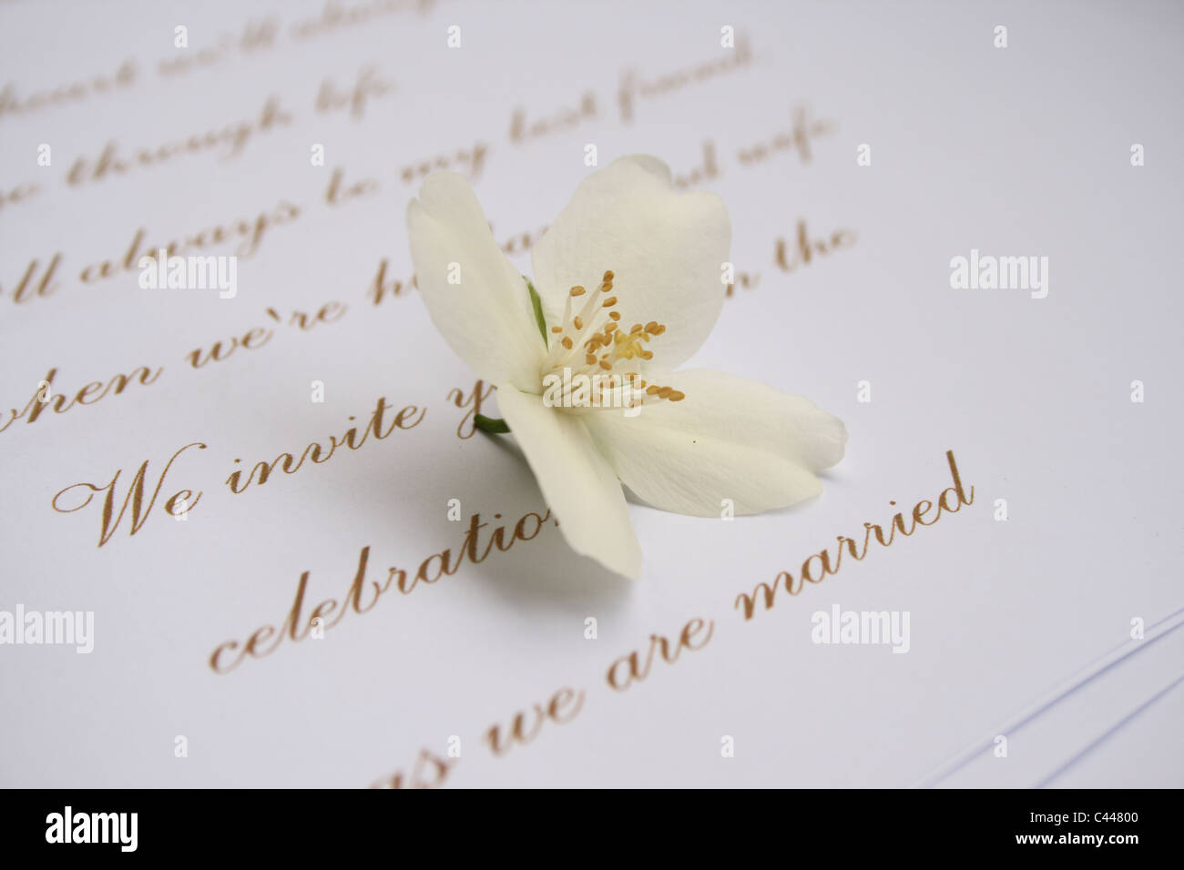 Love letter and flower Stock Photo - Alamy