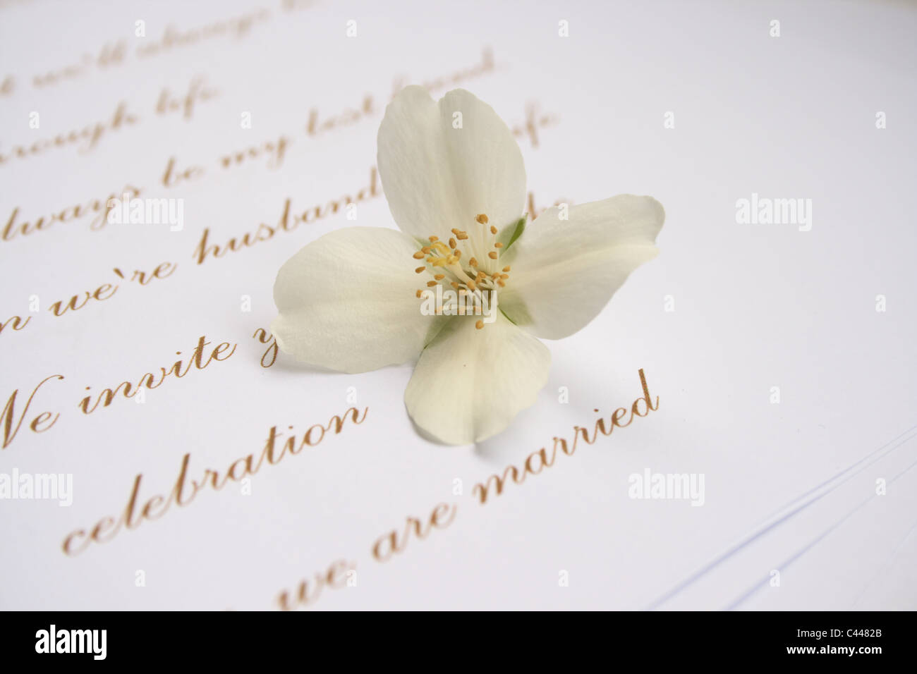 Love letter and flower Stock Photo - Alamy