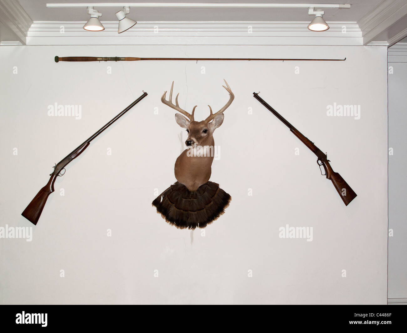 Taxidermy trophy hunting hi-res stock photography and images - Alamy
