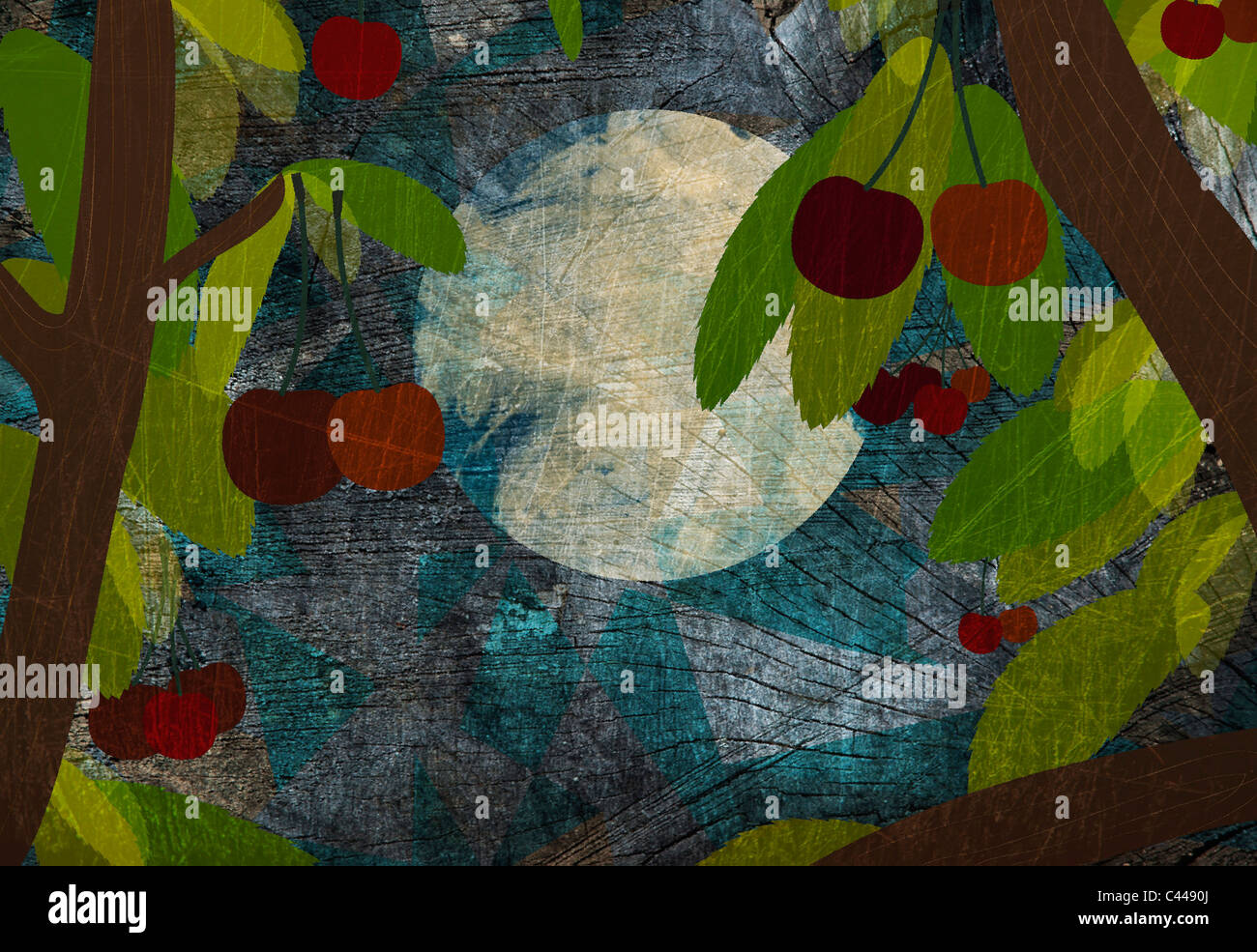 View of the moon and cherries growing on trees at night Stock Photo - Alamy