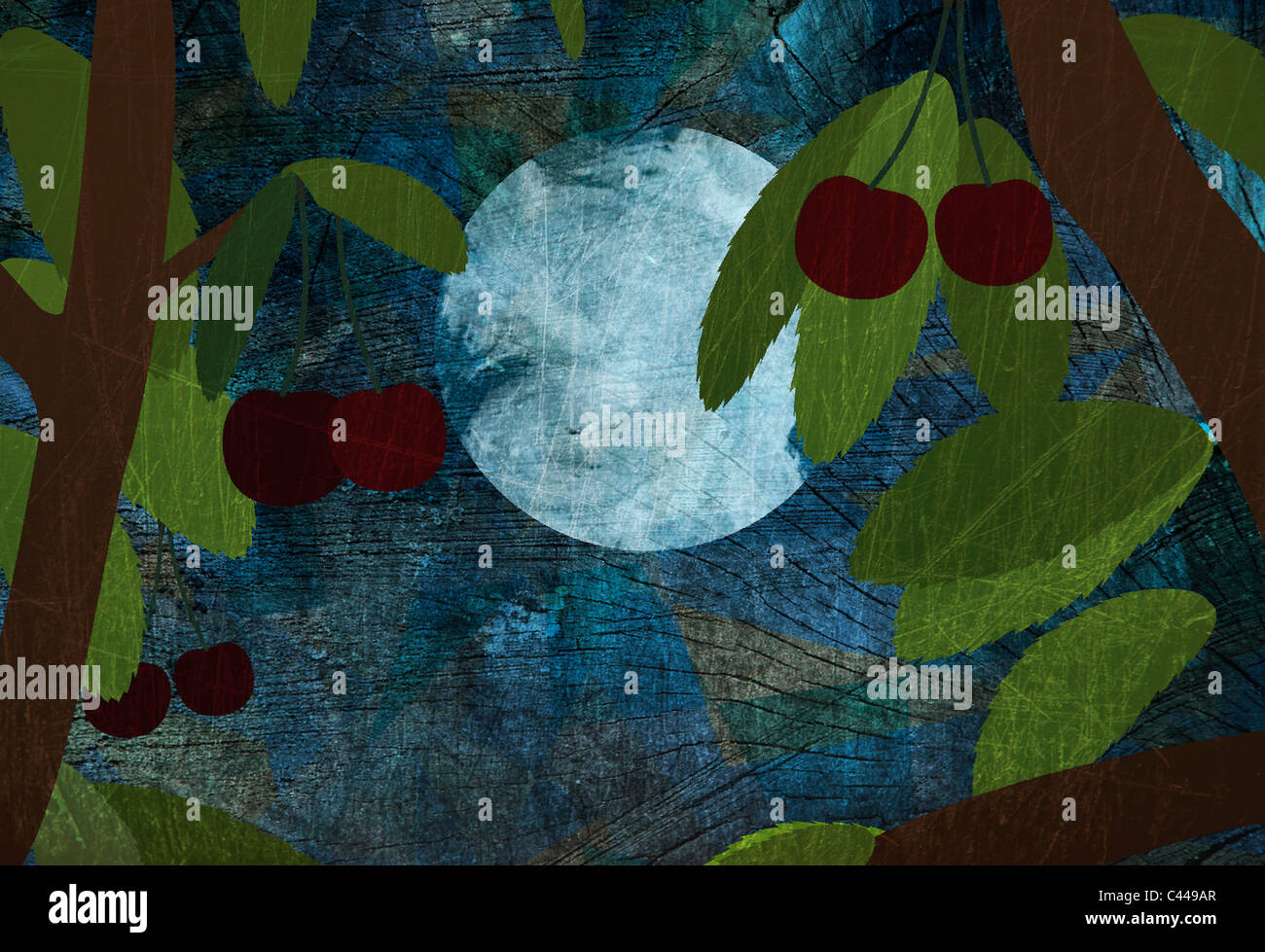 View of the moon and cherries growing on trees at night Stock Photo - Alamy