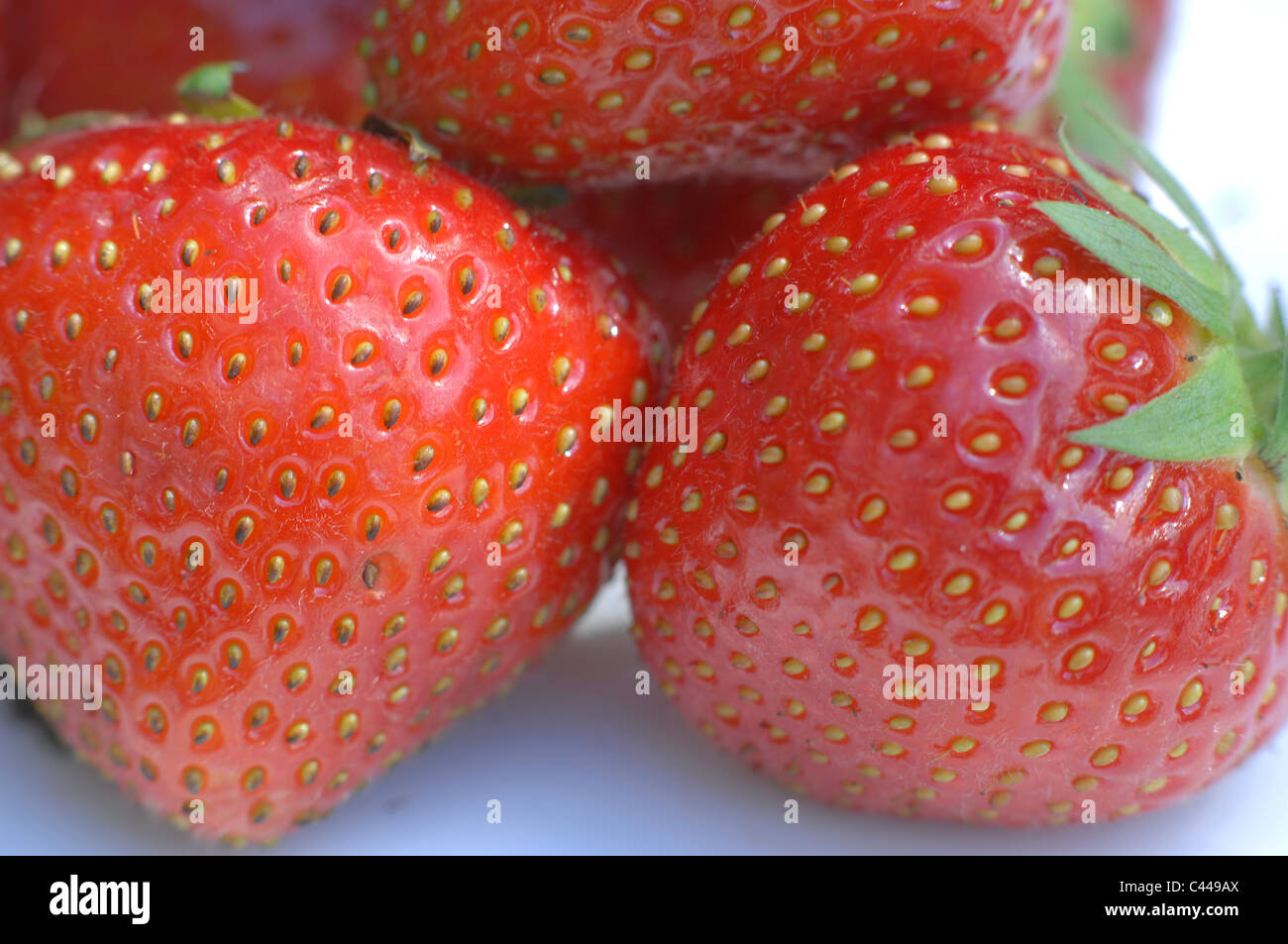 Royal jelly production hi-res stock photography and images - Alamy