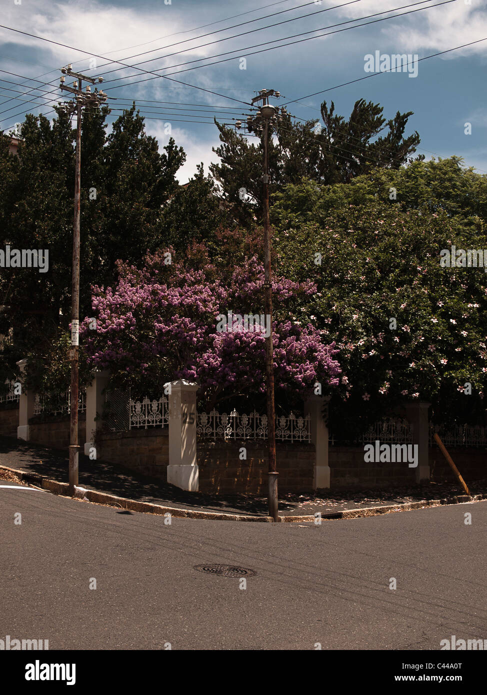 Roadside corner showing a wall with a lot of bushes and trees grown ...