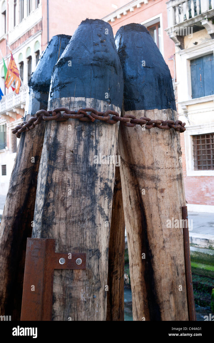 A close-up of a group of new wooden navigation poles, in Venice, Italy ...