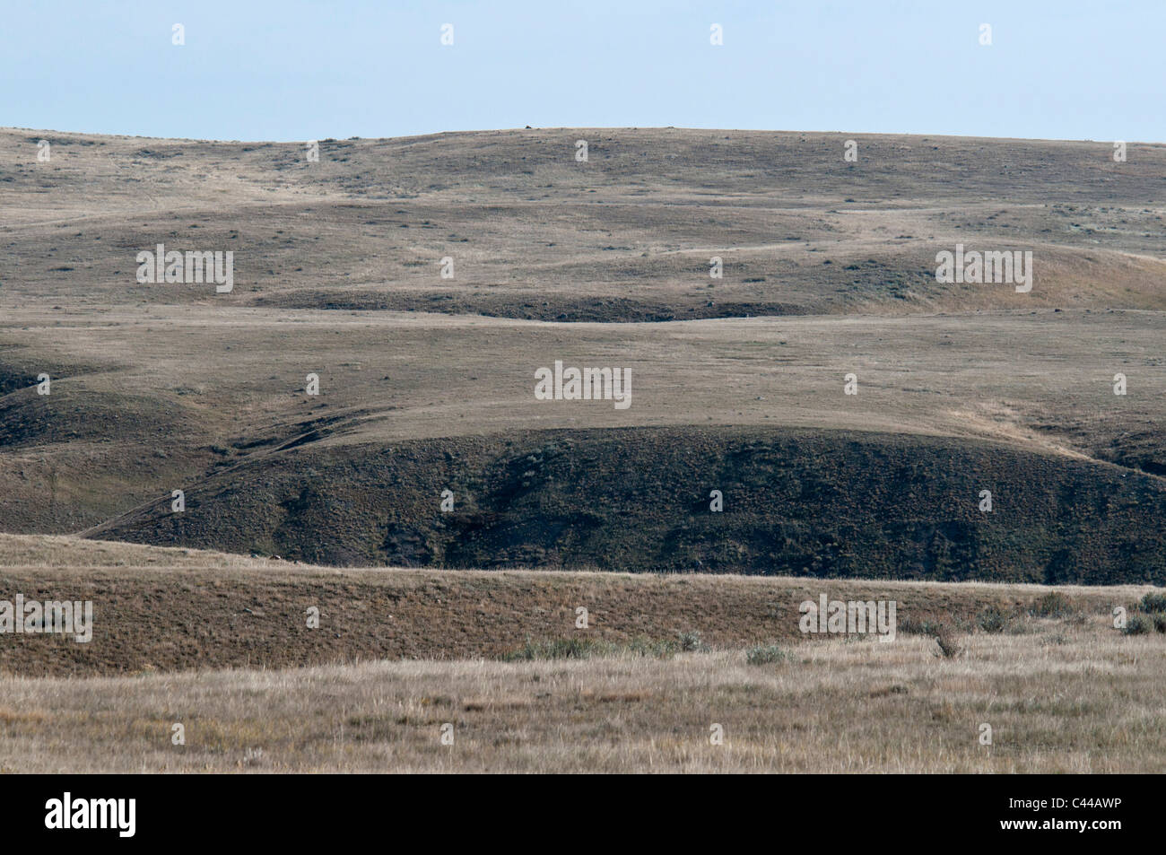 West block, Grasslands National Park, Southern Sasketchewan, Canada ...