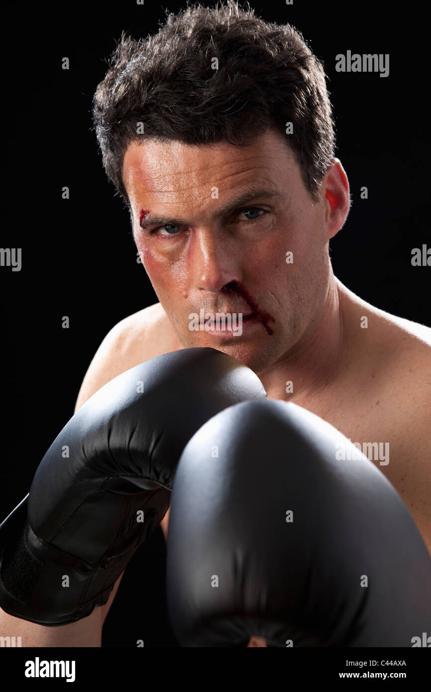 Portrait of a boxer Stock Photo - Alamy