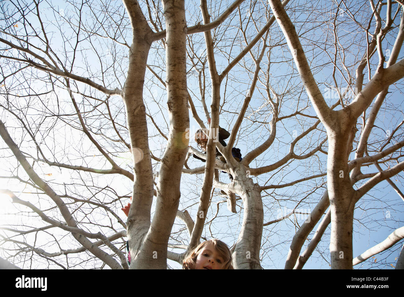 Sisters climbing tree hi-res stock photography and images - Alamy