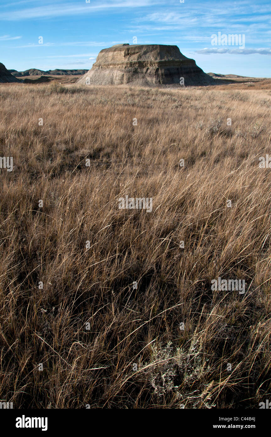 Badlands, east block, Grasslands National Park, Southern Sasketchewan ...