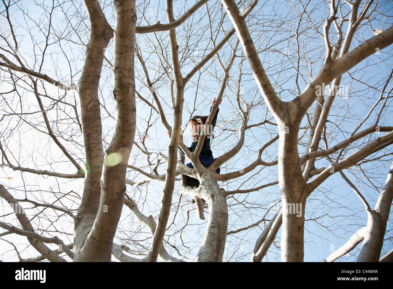 A young girl sitting high up in a tree Stock Photo - Alamy