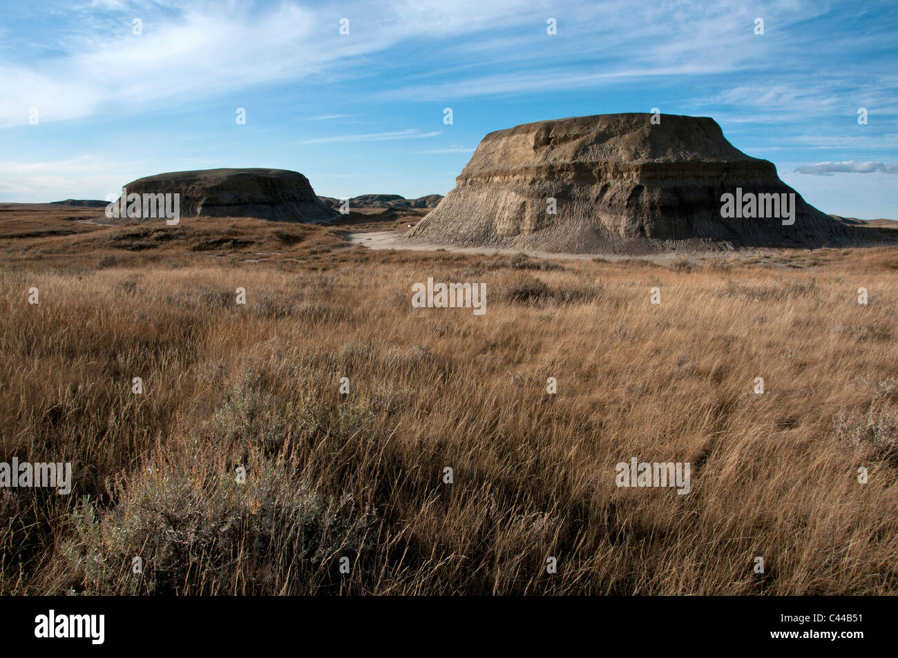 Badlands, east block, Grasslands National Park, Southern Sasketchewan ...