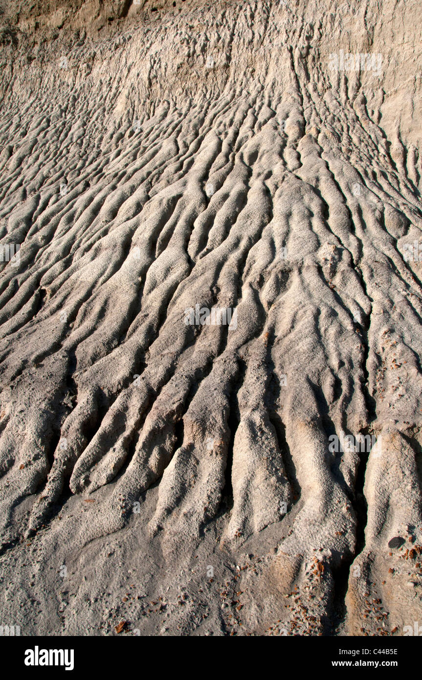 Badlands, east block, Grasslands National Park, Southern Sasketchewan ...
