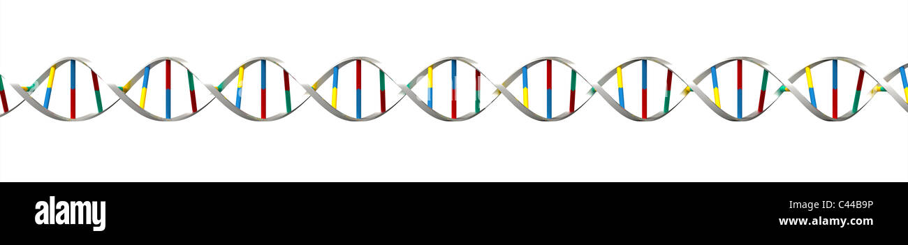 Render of DNA isolated on white background Stock Photo - Alamy