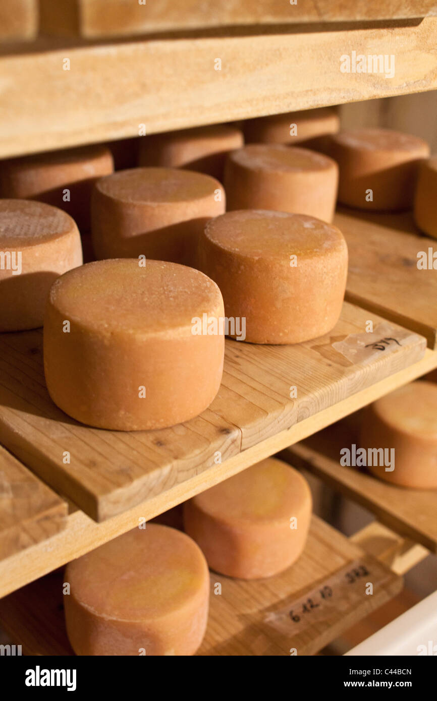 Cheese wheels on shelves Stock Photo - Alamy