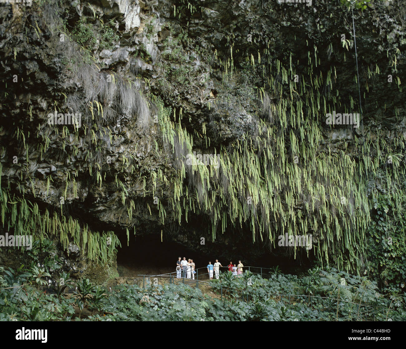 America, Fern grotto, Hawaii, Holiday, Kauai, Landmark, Tourism, Travel ...