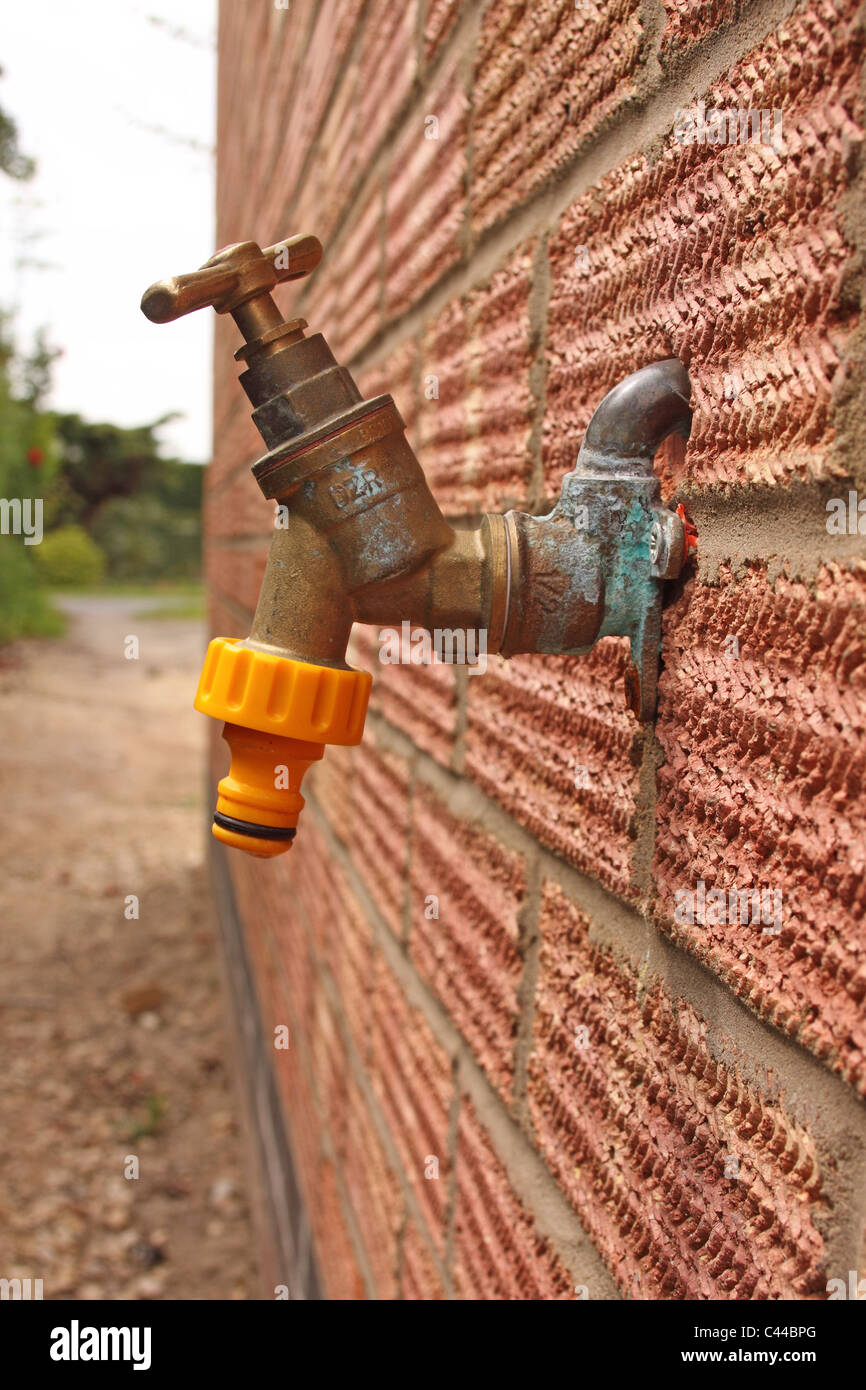 external tap used for hose pipe and watering garden Stock Photo - Alamy