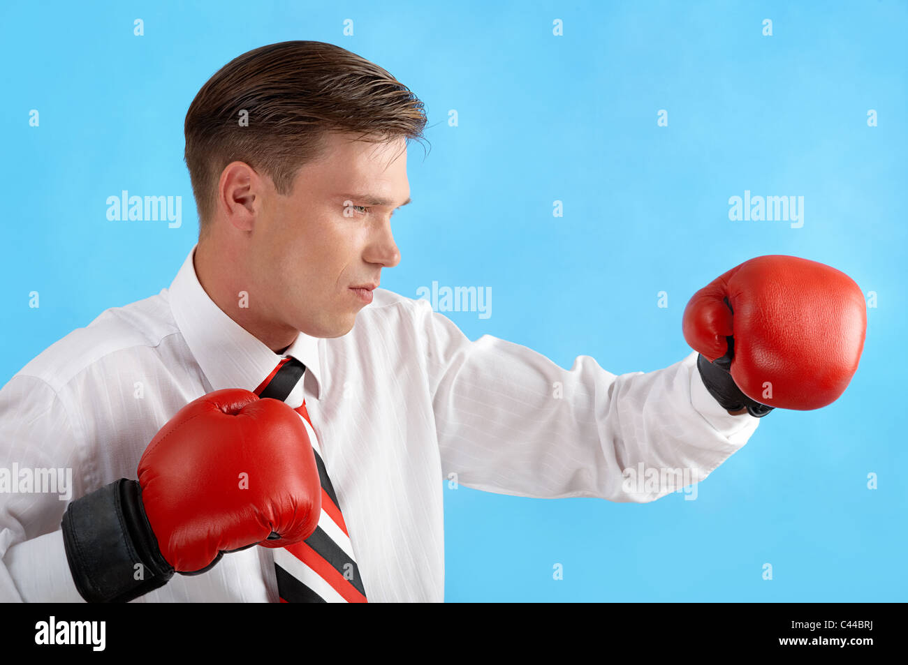 Portrait of aggressive businessman in boxing gloves fighting over blue ...