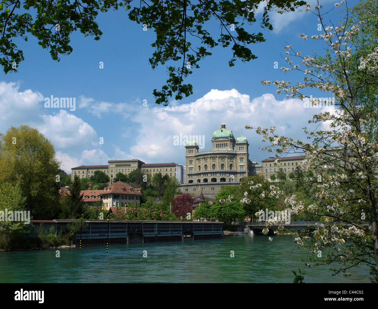 Trees, Bern, Switzerland, leaves, Federal Parliament, Building ...