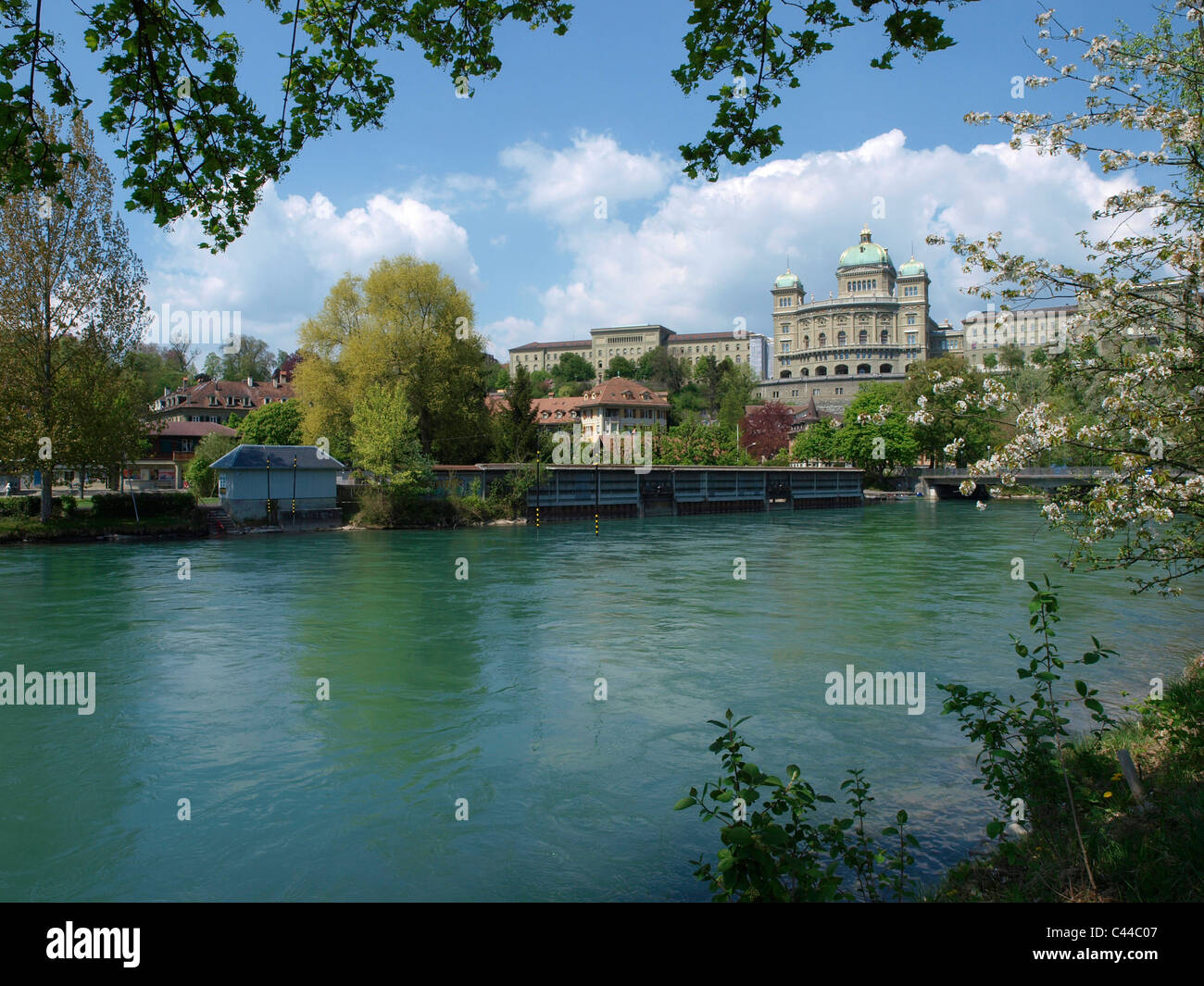 Trees, Bern, Switzerland, leaves, Federal Parliament, Building ...