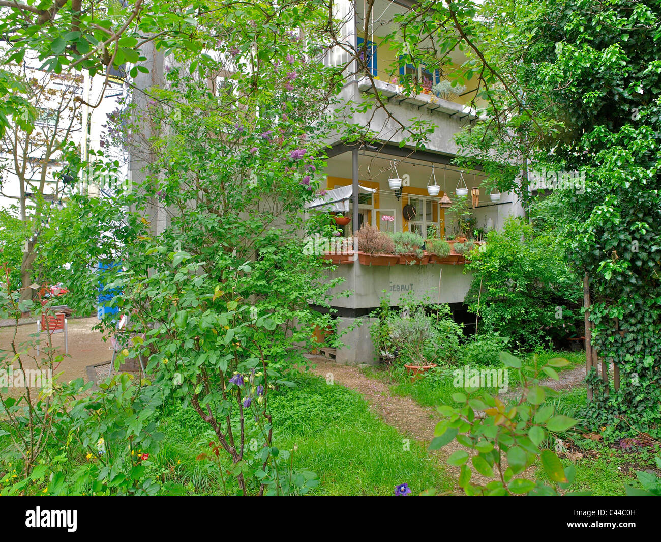 Basel, house, home, residential, Building, Switzerland, green spring ...