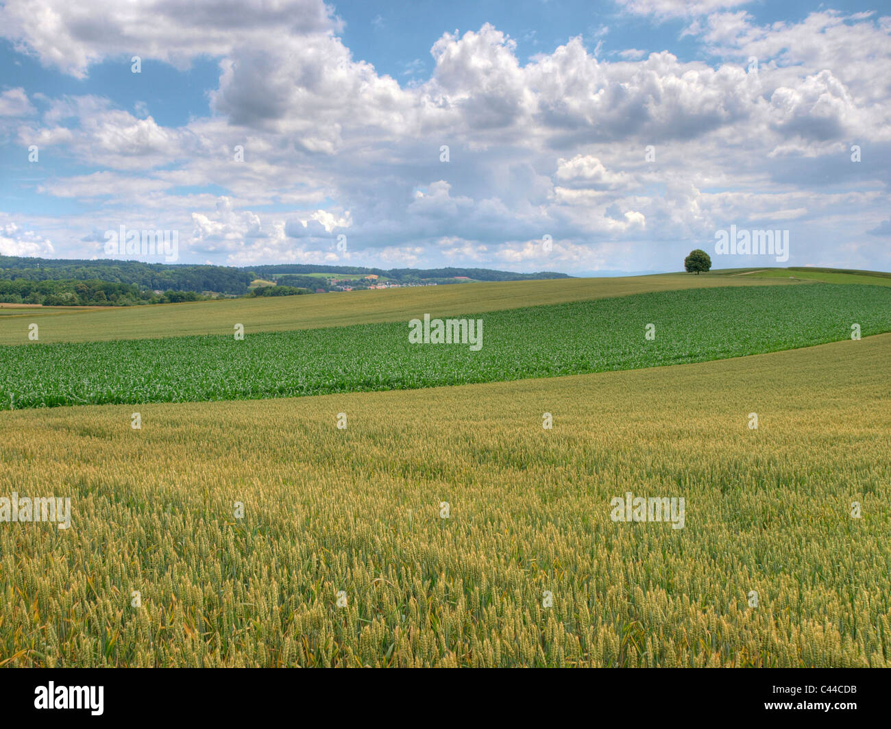 Oberglatt hi-res stock photography and images - Alamy