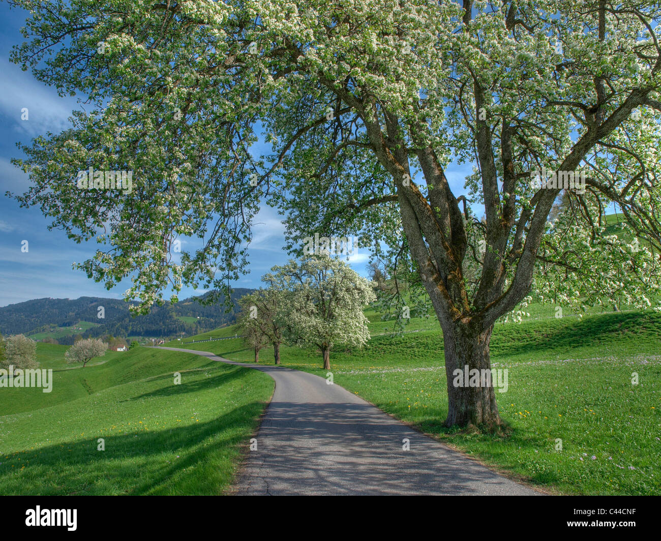 Lane meadow hi-res stock photography and images - Alamy