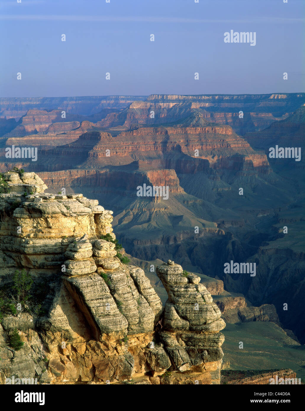 America, Arizona, Grand canyon, Grand canyon national park, Holiday ...