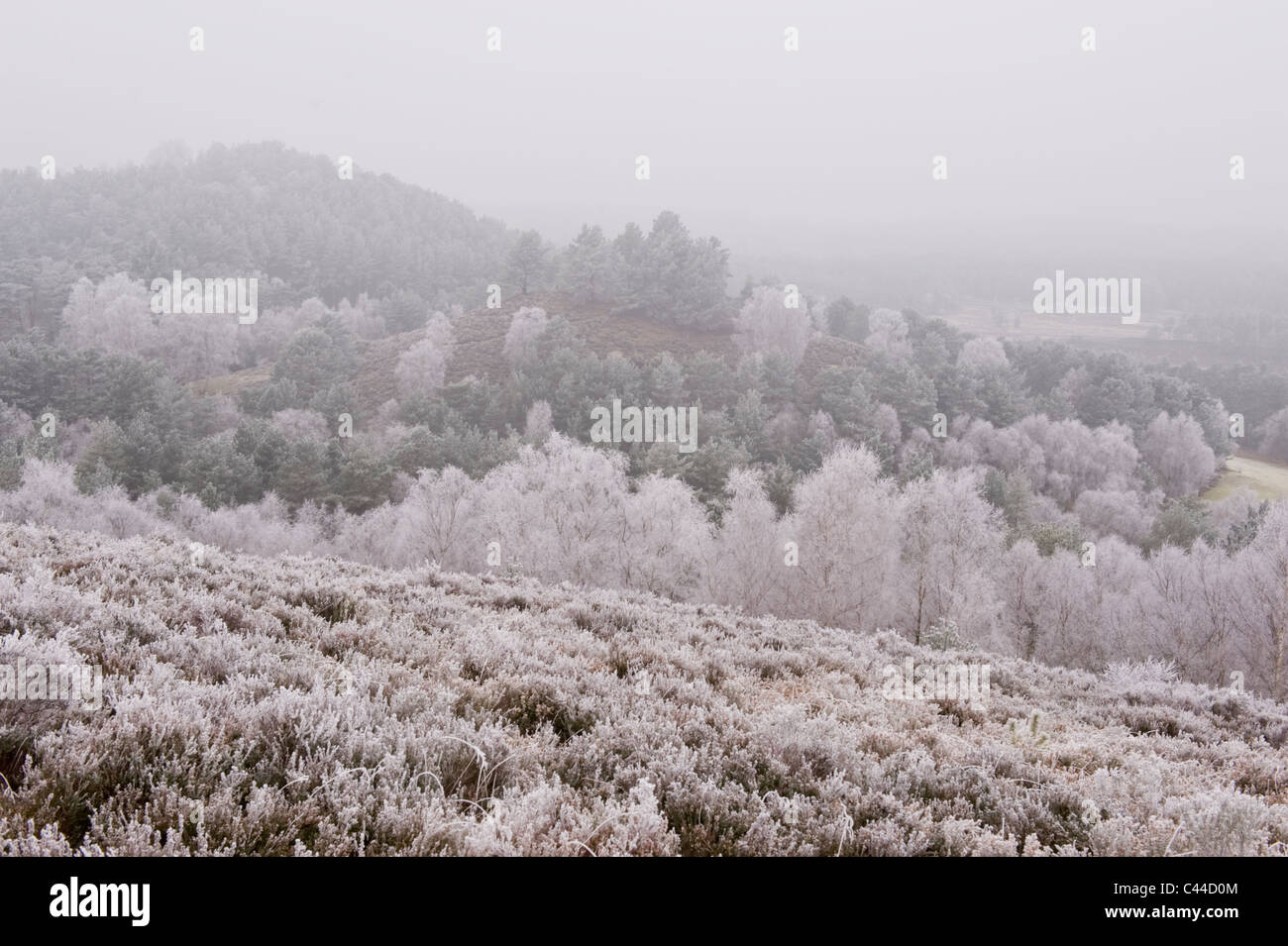 Devils jumps hi-res stock photography and images - Alamy