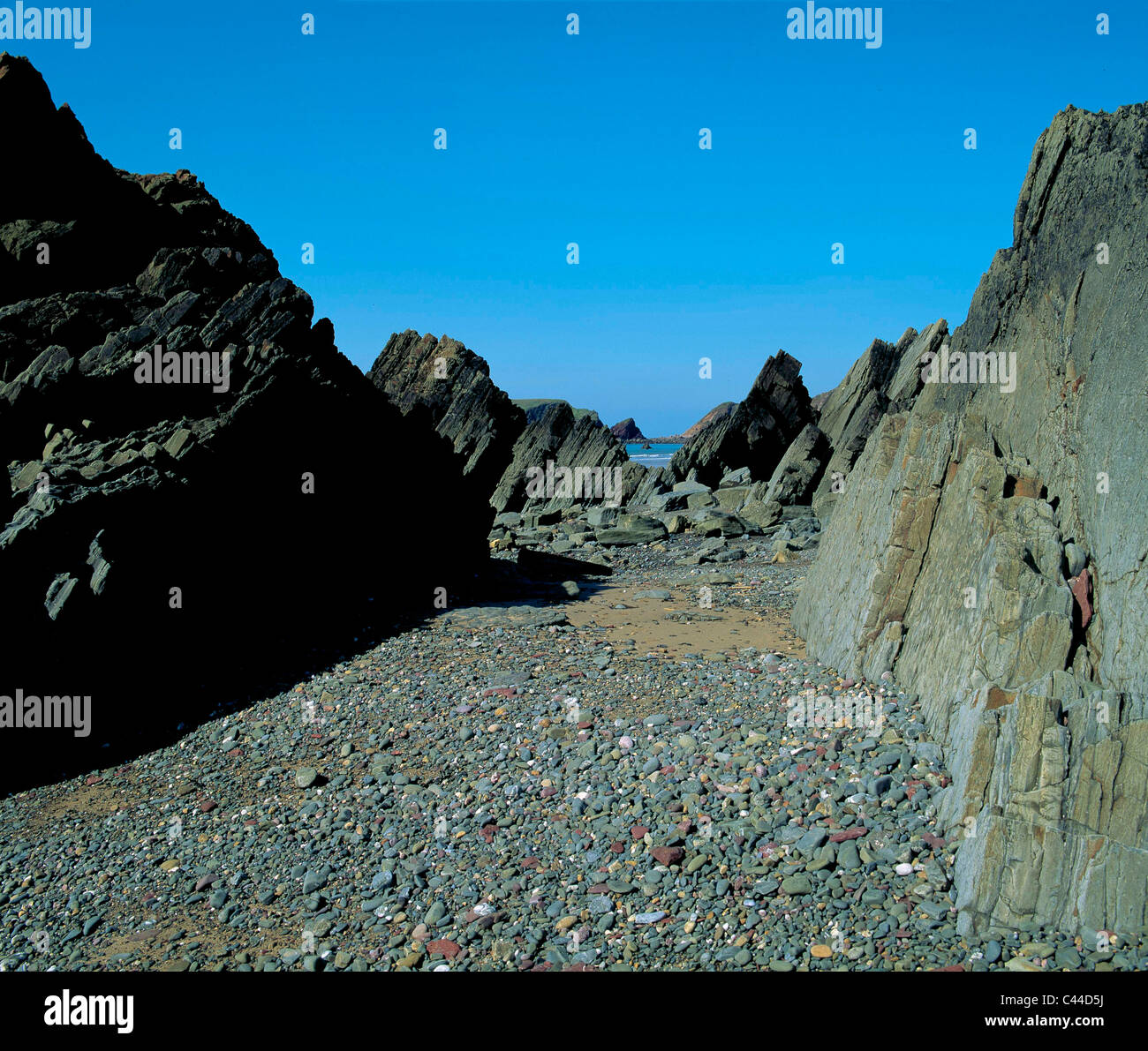 Steeply dipping coralliferous rocks of Silurian age forming upstanding ...