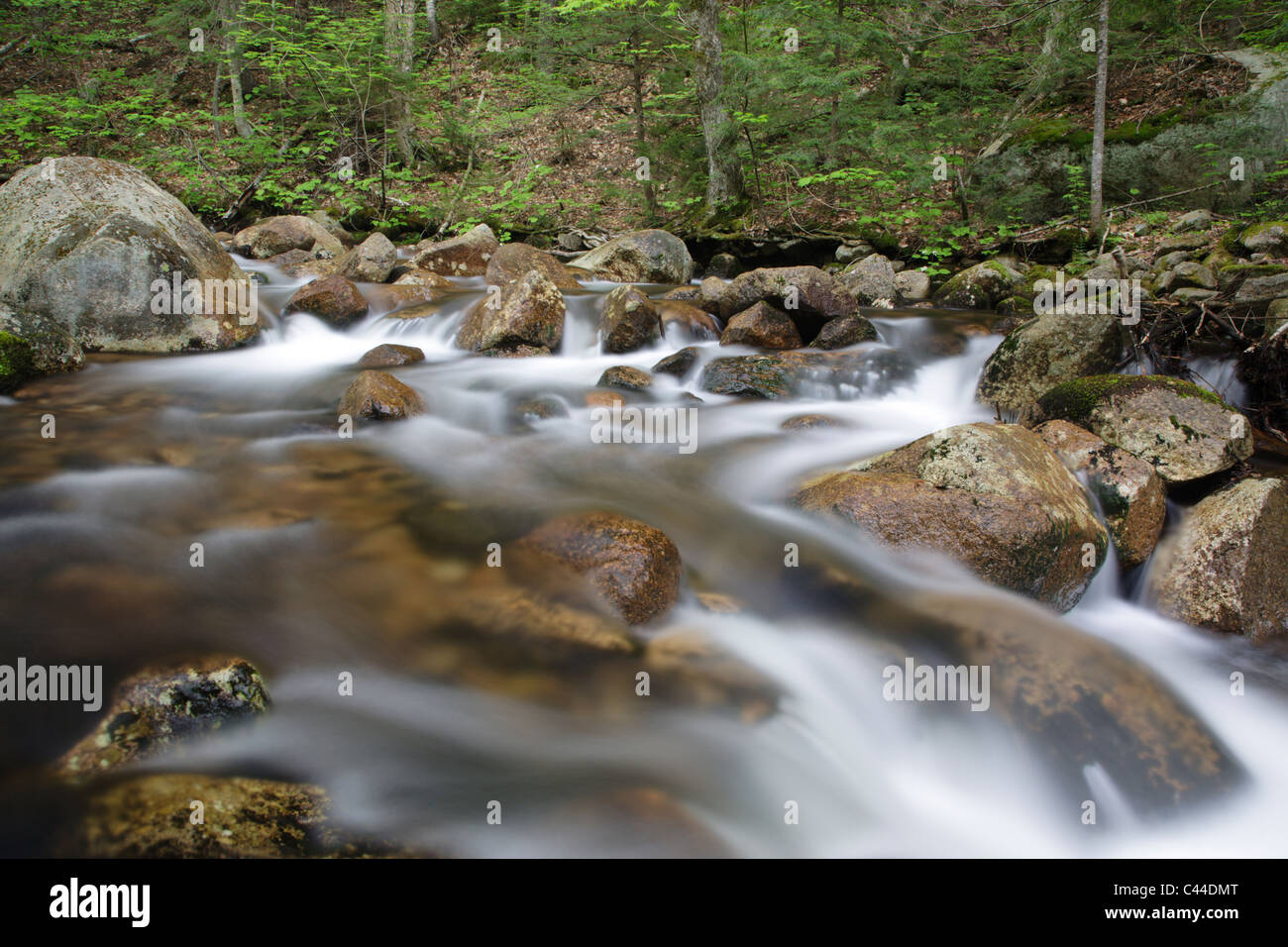 Louisville Brook near Bear Notch Road in Bartlett, New Hampshire USA ...