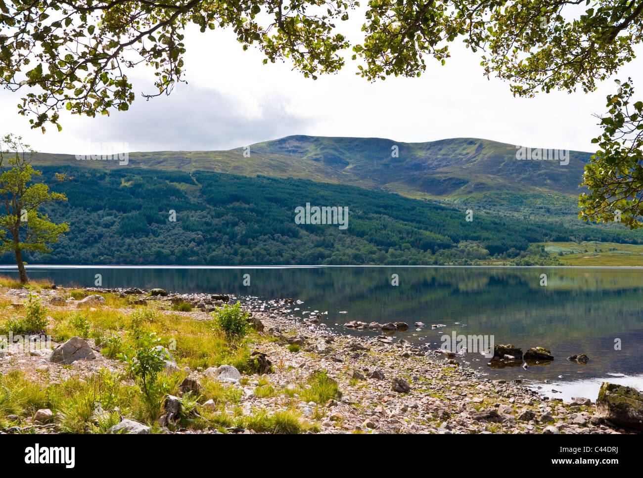 View acrooss Loch Arkaig in the Scottish Highlands Stock Photo - Alamy