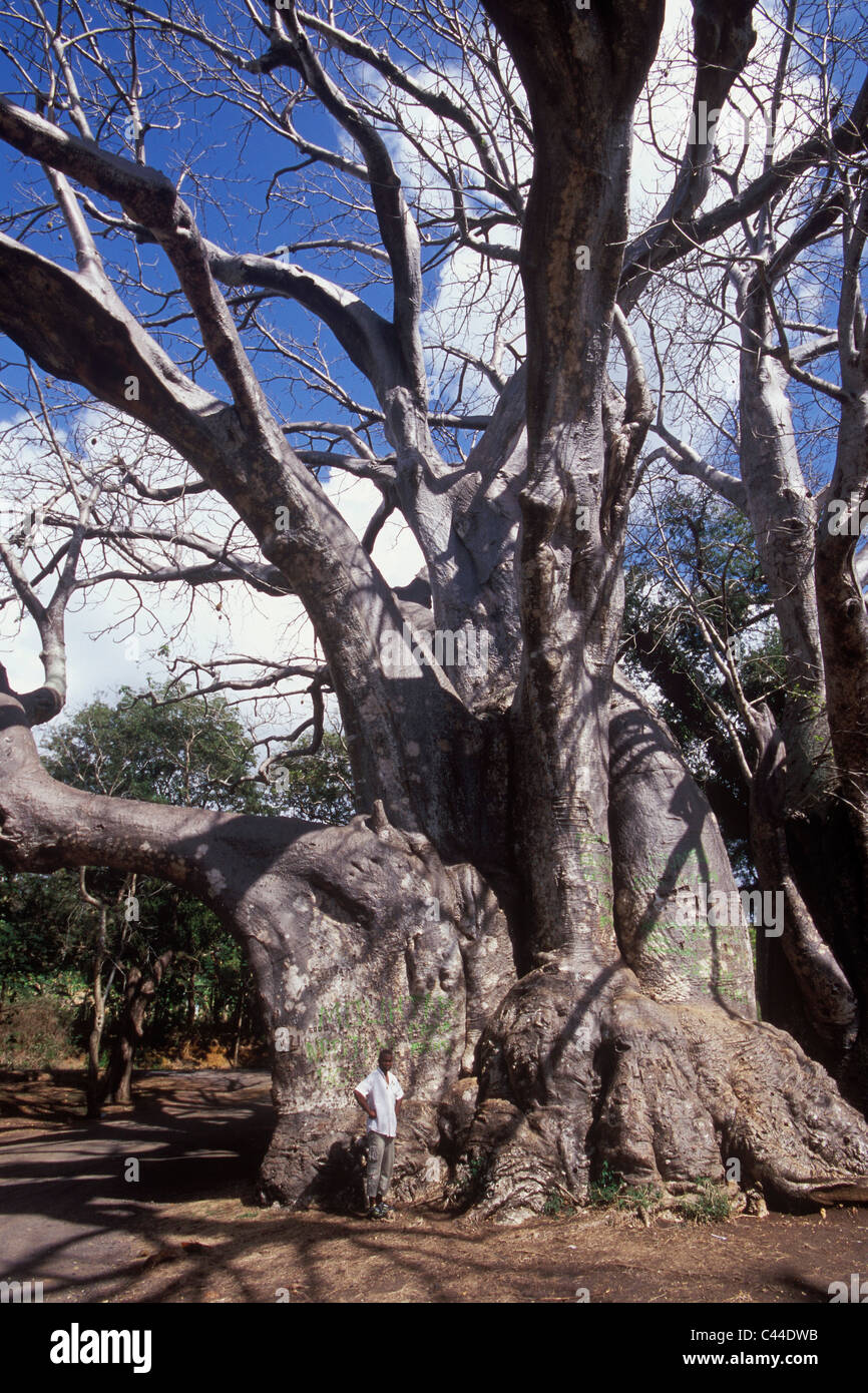The comoro archipelago hi-res stock photography and images - Alamy