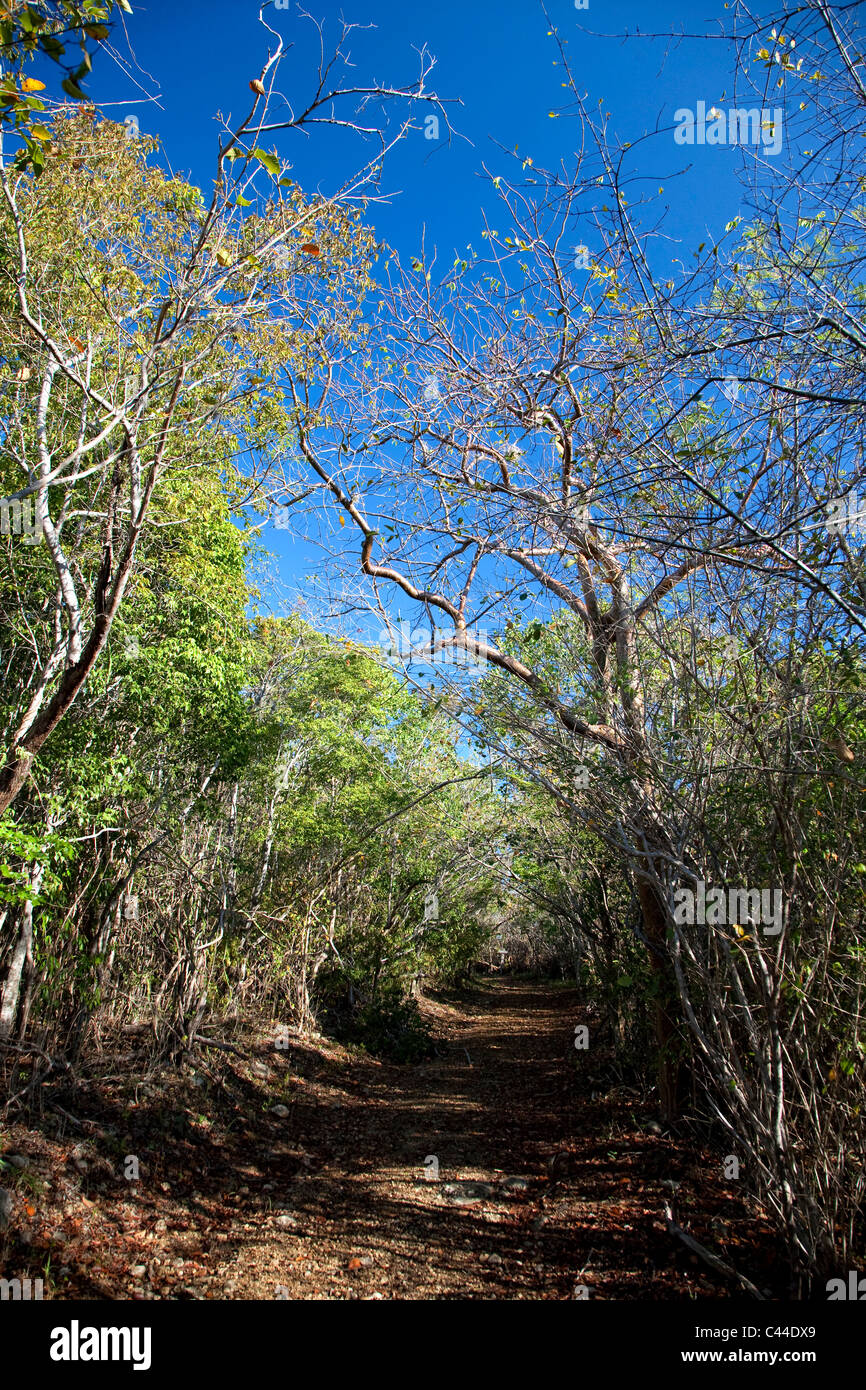 Usa, Caribbean, Puerto Rico, West Coast, Guanica Biosphere Reserve ...