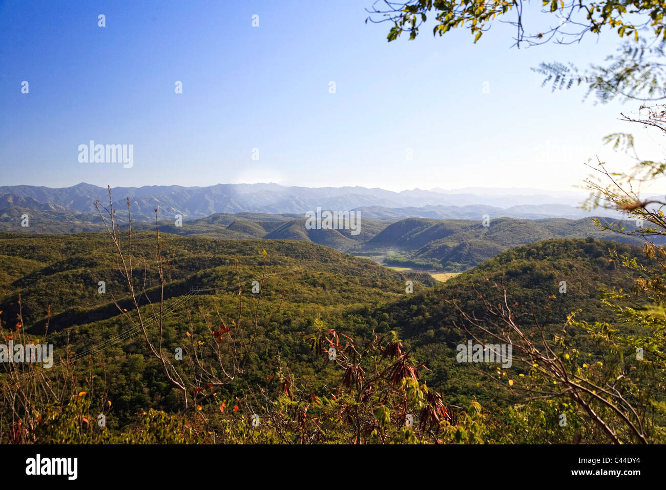 Usa, Caribbean, Puerto Rico, West Coast, Guanica Biosphere Reserve ...