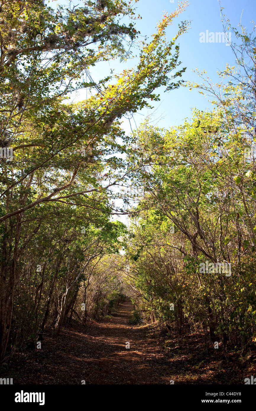Usa, Caribbean, Puerto Rico, West Coast, Guanica Biosphere Reserve ...