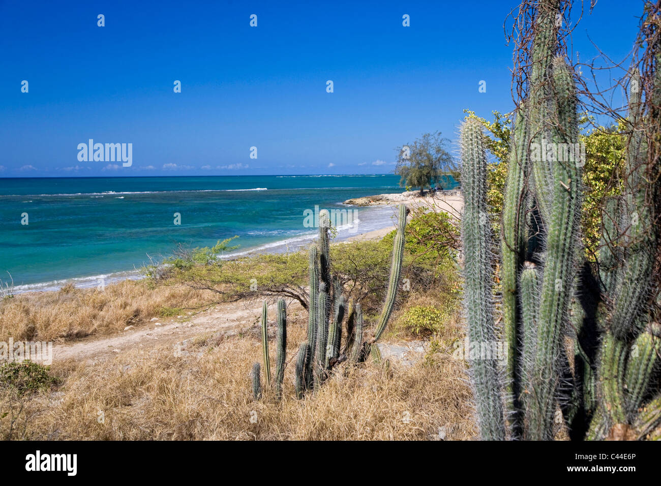 Usa, Caribbean, Puerto Rico, West Coast, Guanica Biosphere Reserve ...