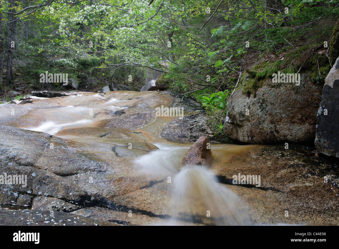 White Mountain National Forest of New Hampshire during the spring ...
