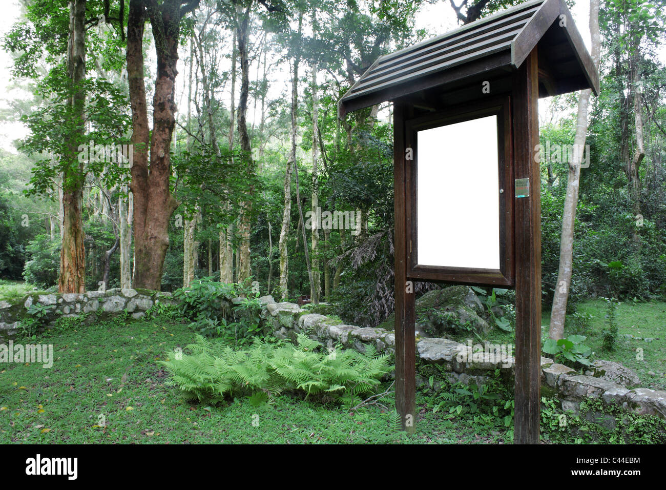 advertising billboard in green forest Stock Photo - Alamy