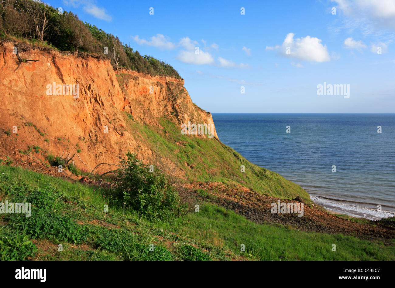 Vertical upper section of eroding cliffs on the North Norfolk coast at ...