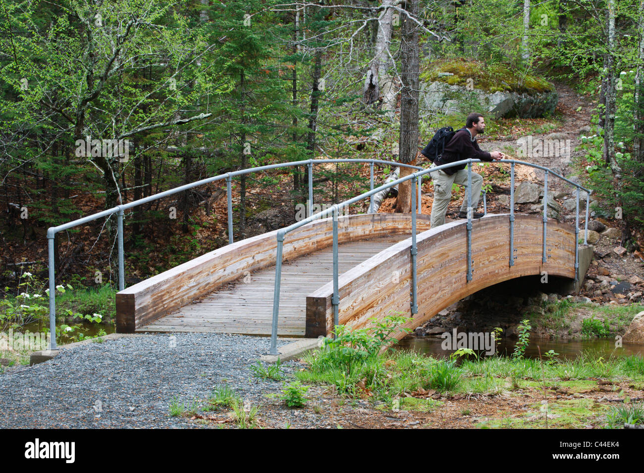 Appalachian Trail (Webster Cliff Trail ) in Crawford Notch State Park ...