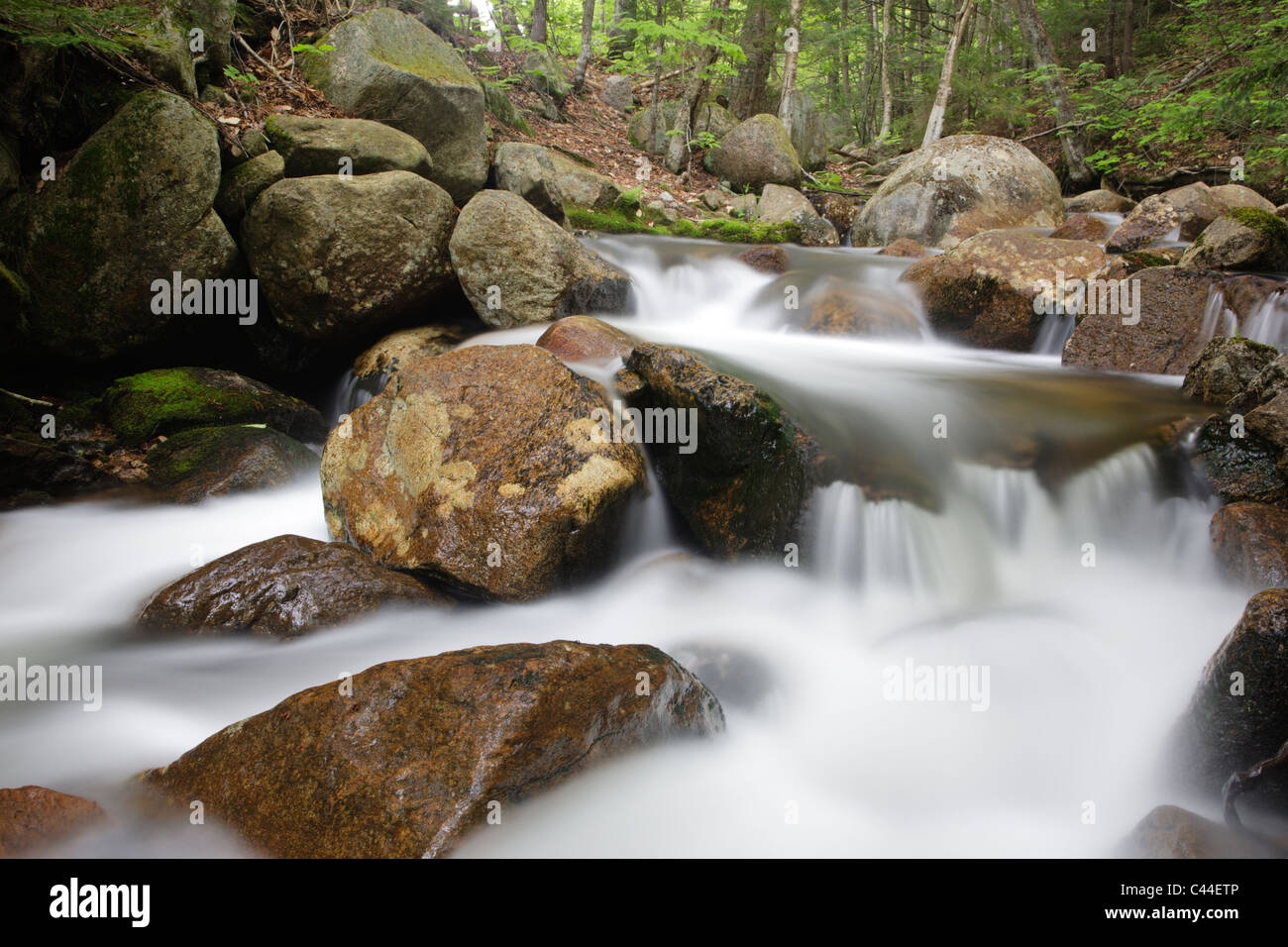 Douglas Brook along Bear Notch Road during the spring months in the ...
