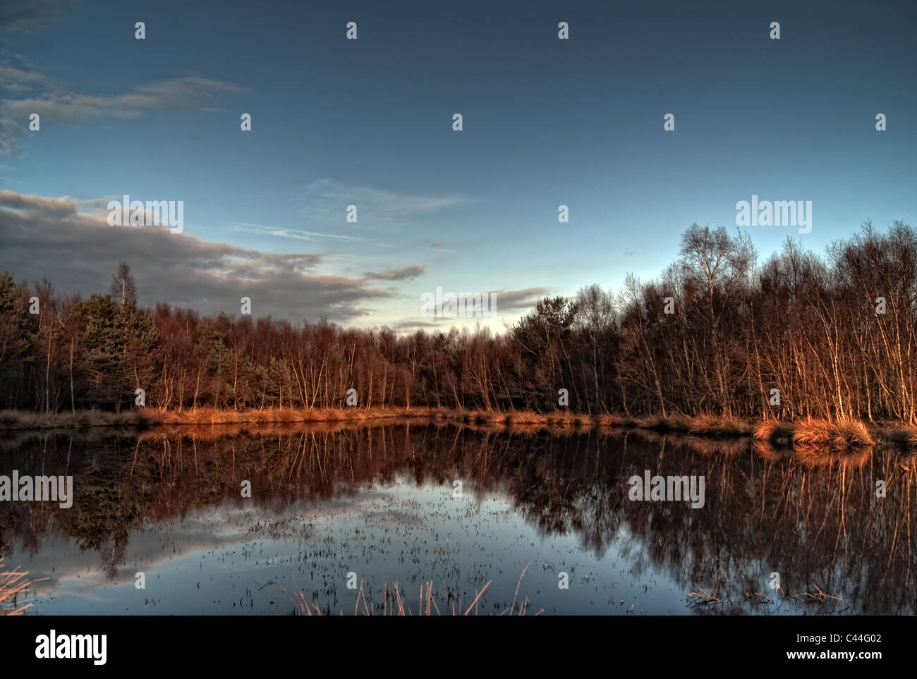 Lake at Skipwith Common Stock Photo - Alamy