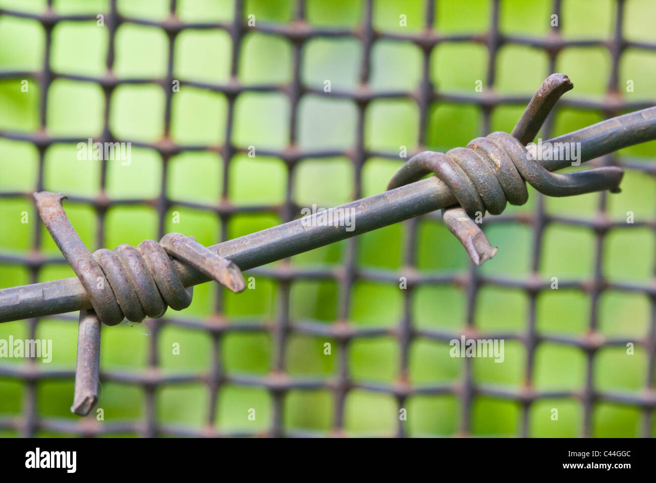 barbed wire and metal lattice against green grass and foliage Stock ...