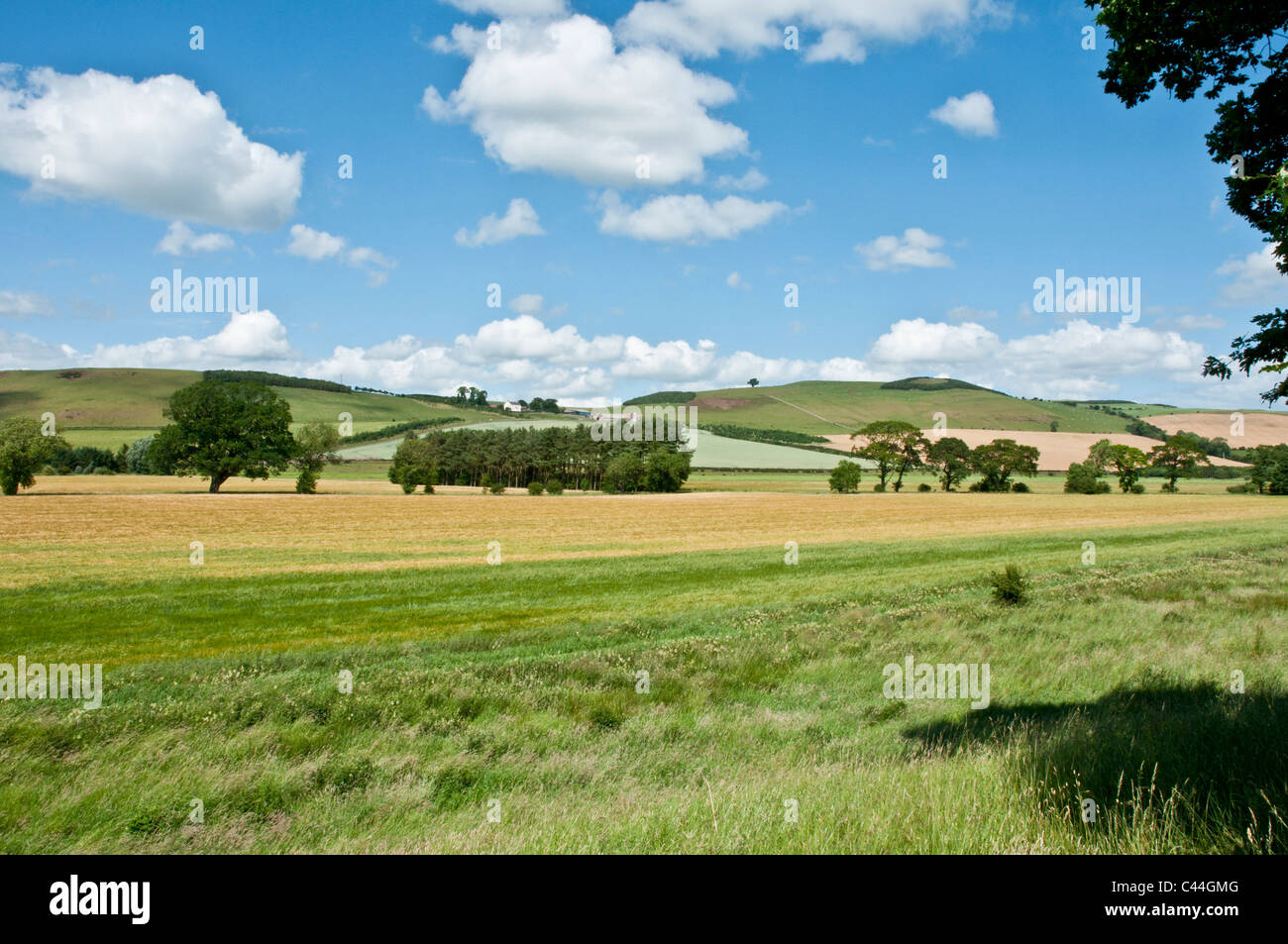 Country view from nr Pawston Shotton Northumberland England Stock Photo ...