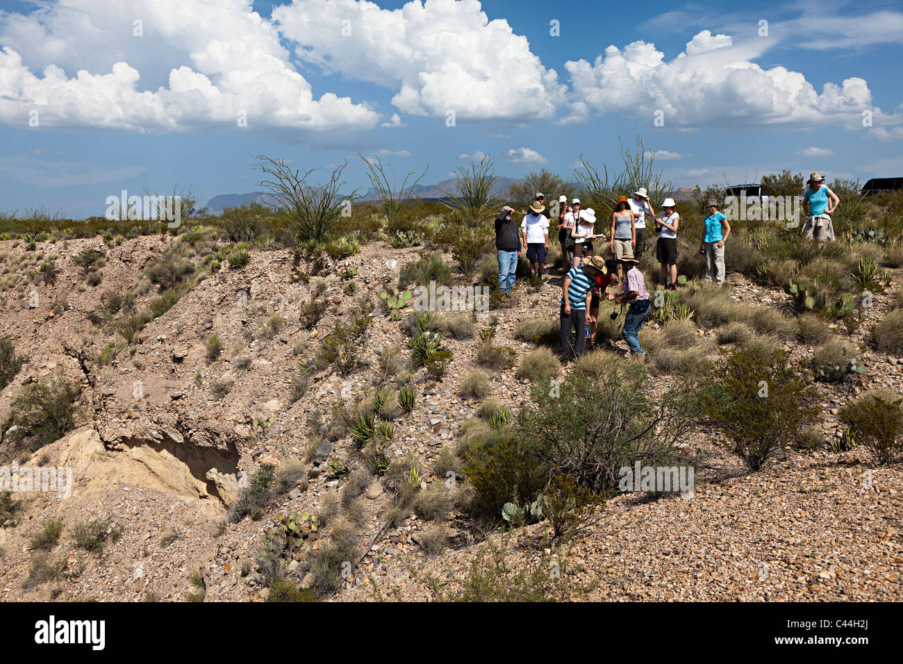 Science field trip in desert terrain Big Bend National Park Texas USA ...