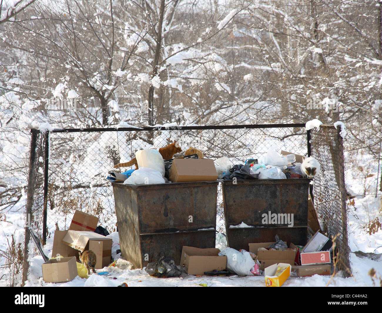 container for dust with production wastes Stock Photo - Alamy