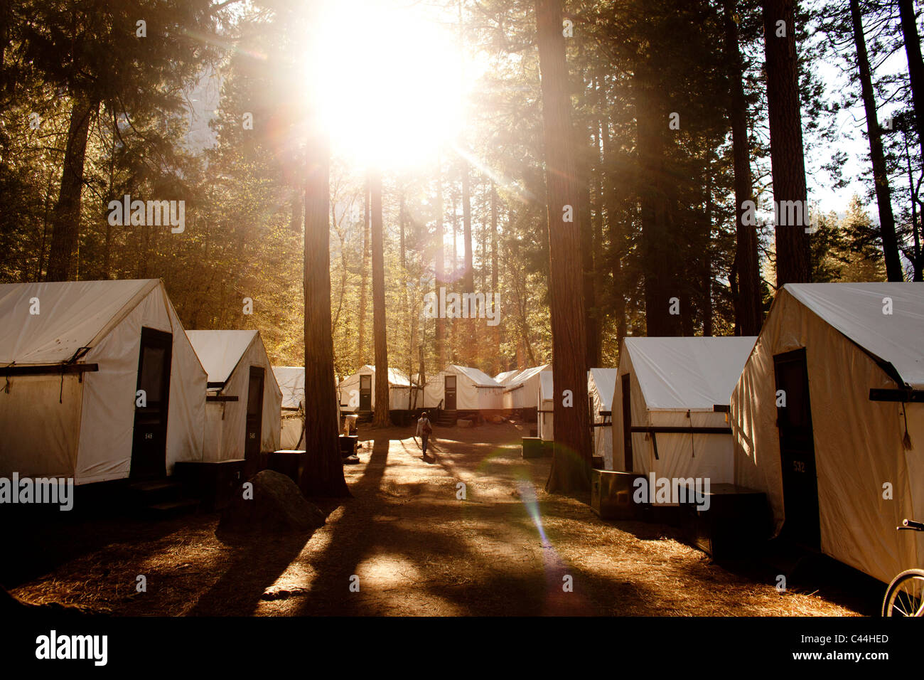 Camp curry hi-res stock photography and images - Alamy
