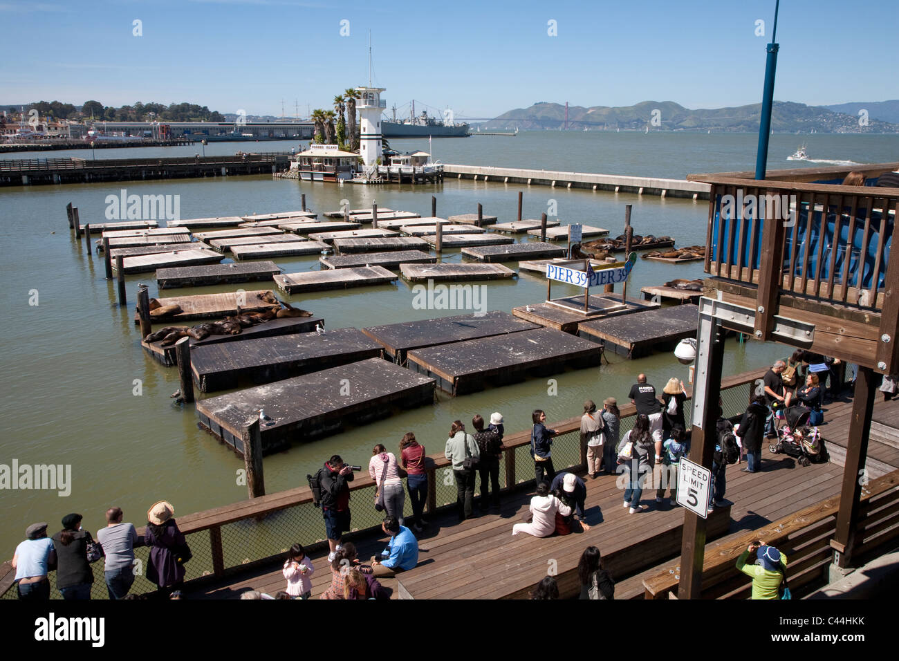 Elevated boardwalk hi-res stock photography and images - Alamy