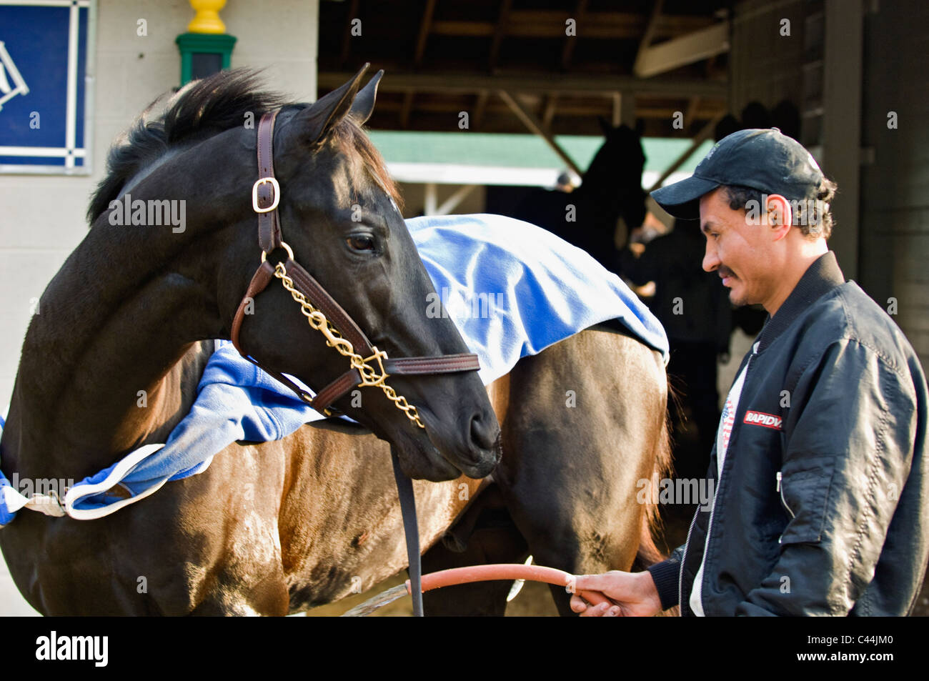 Groom Washing Thoroughbred Horse on the Backside of Churchill Downs ...